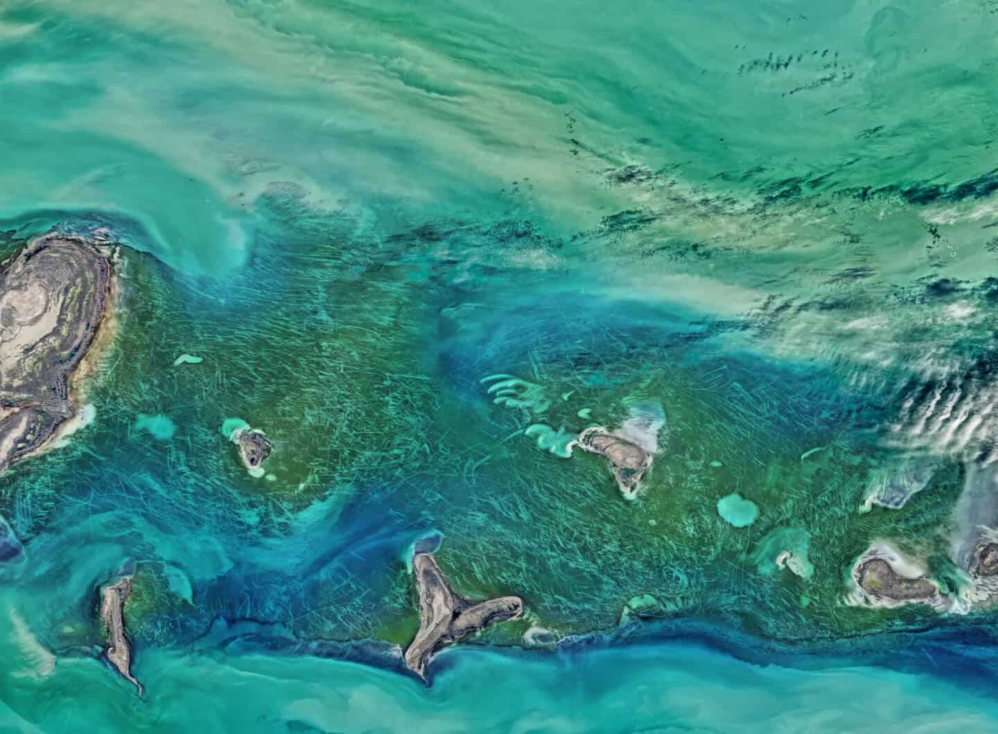 Emitwise - future proof your business for a net-zero carbon world